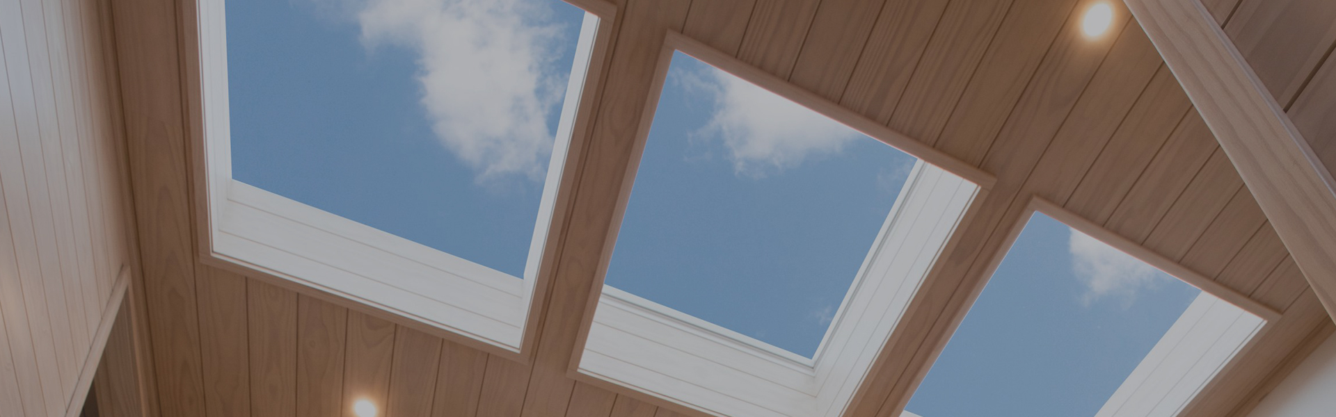 Our Products - Premier Skylights